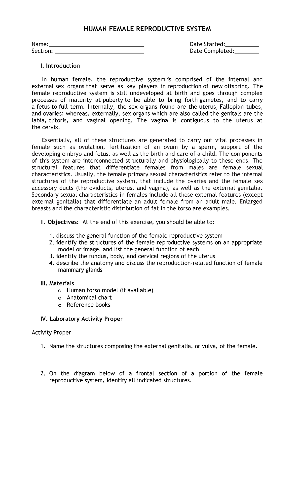 Human Female Reproductive System - HUMAN FEMALE REPRODUCTIVE SYSTEM ...