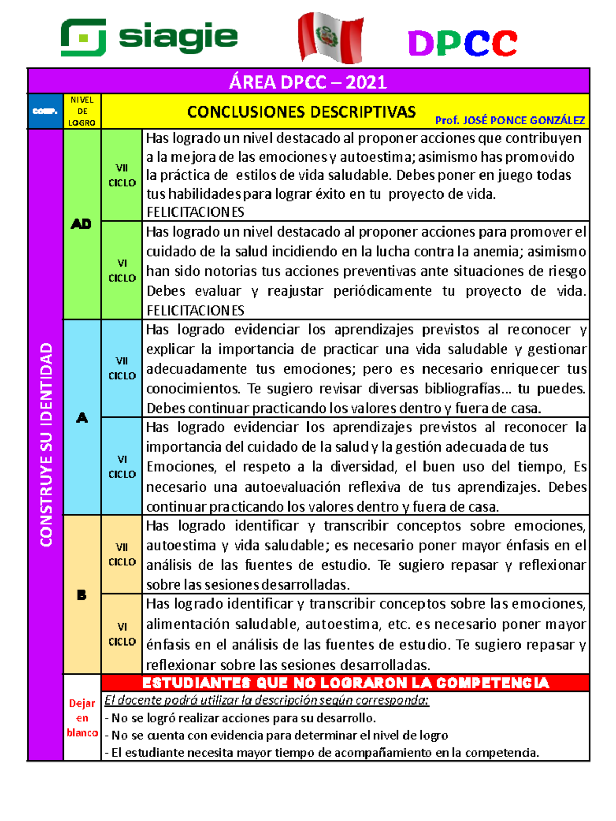 Conclusiones Descriptivas DPCC - JOSE Ponce - ÁREA DPCC – 2021 COMP ...