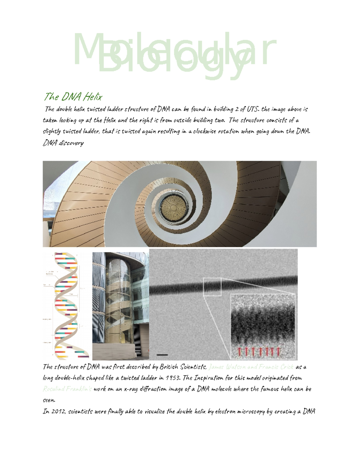 Molecular Biology - lecture notes - The DNA Helix The double helix ...