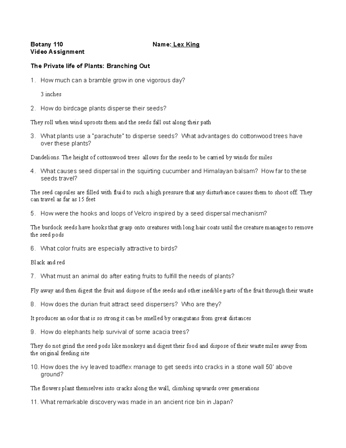 01 branching out - pppppppppppppppppppppppppp - Botany 110 Name: Lex ...