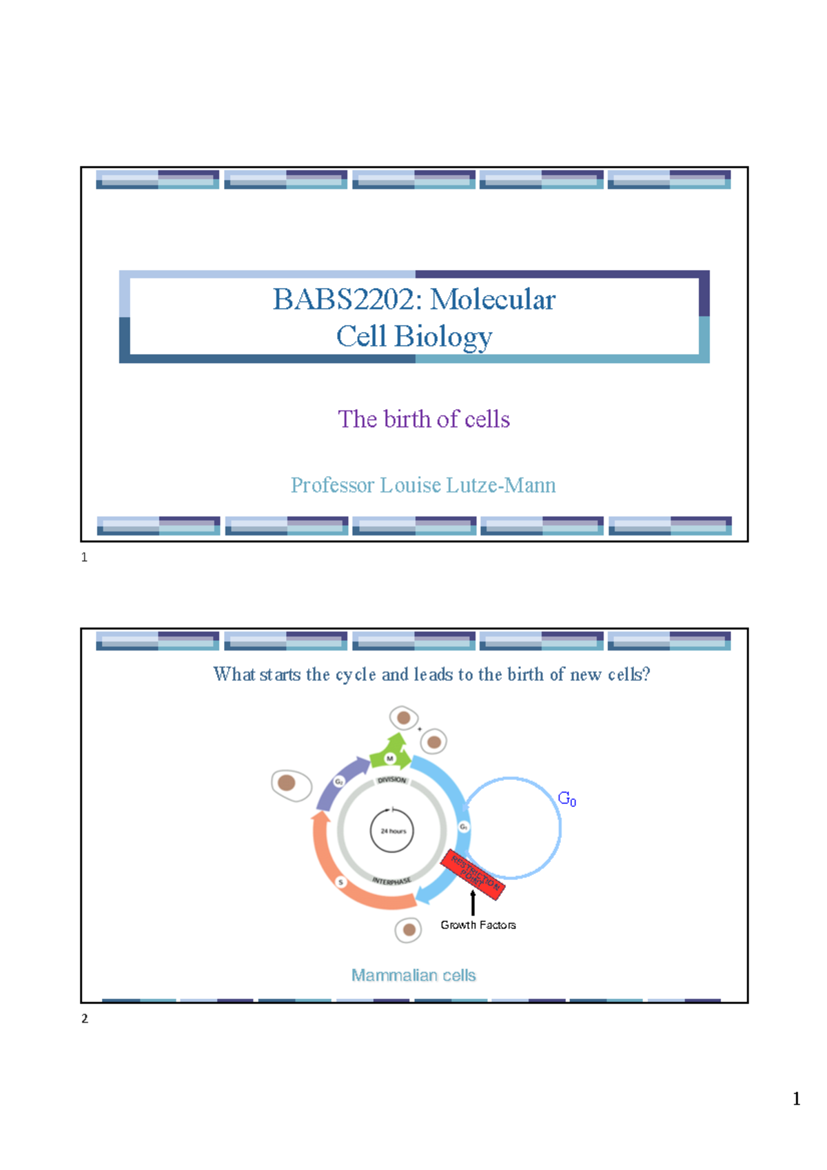 BABS2202 Lec 04 Week 02 The birth of cells LLM - BABS2202: Molecular ...