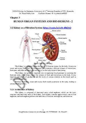 BBOK407 - Biology for engineering - Common to all the branches except ...