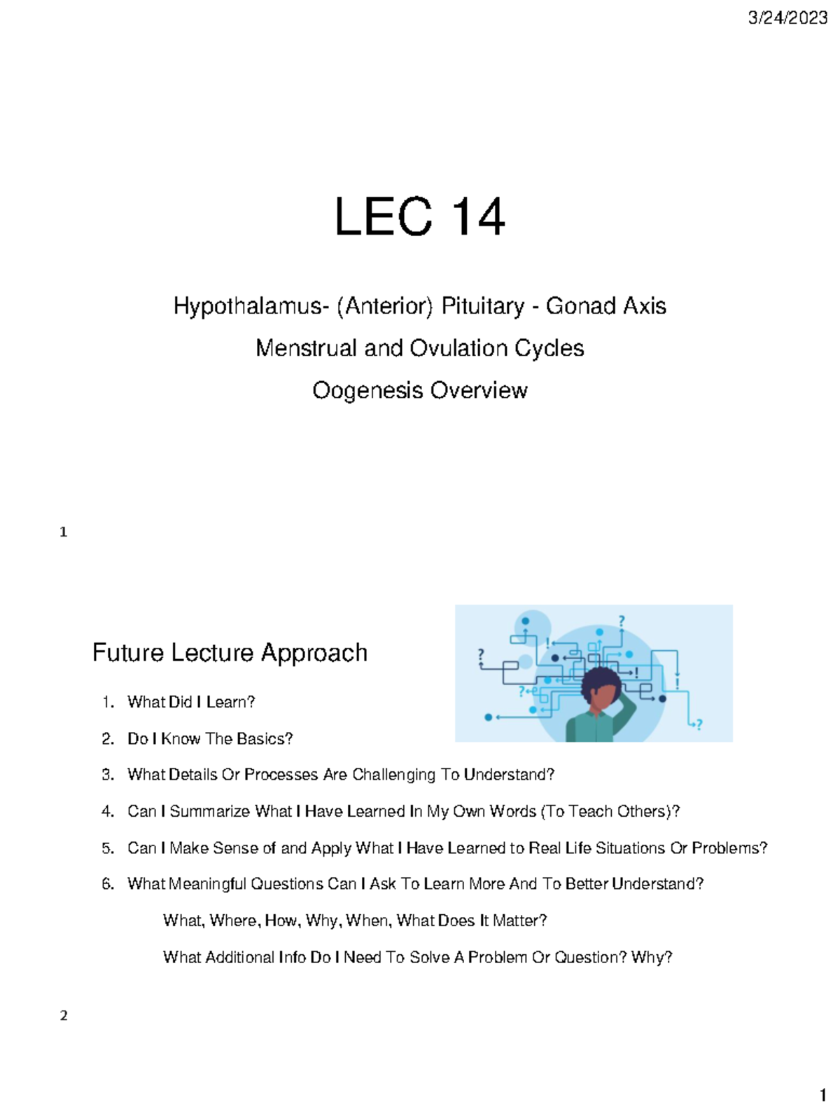 LEC 14 Female Reproductive System Part 1 (2 Slides Per Page) - LEC 14 ...
