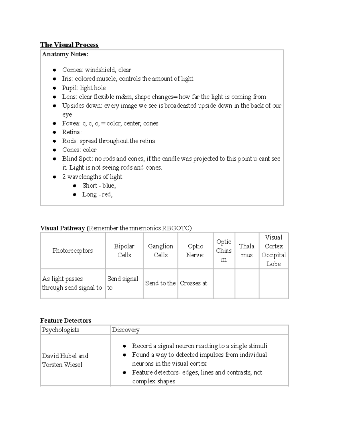 PERCEPTION IN TERMS OF VISUAL PROCESS* - The Visual Process Anatomy ...