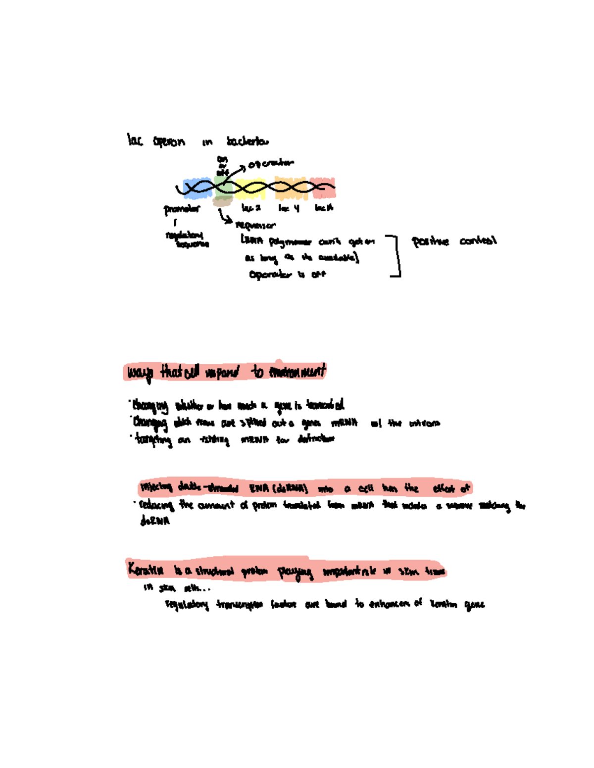 Yt video - Susan Hester - ####### Iac operon in bacteria mating ...