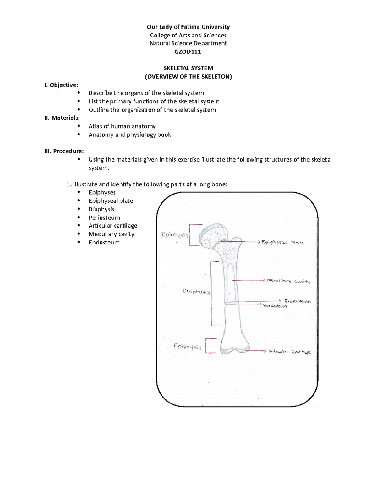 Skeletal System - Our Lady of Fatima University College of Arts and ...