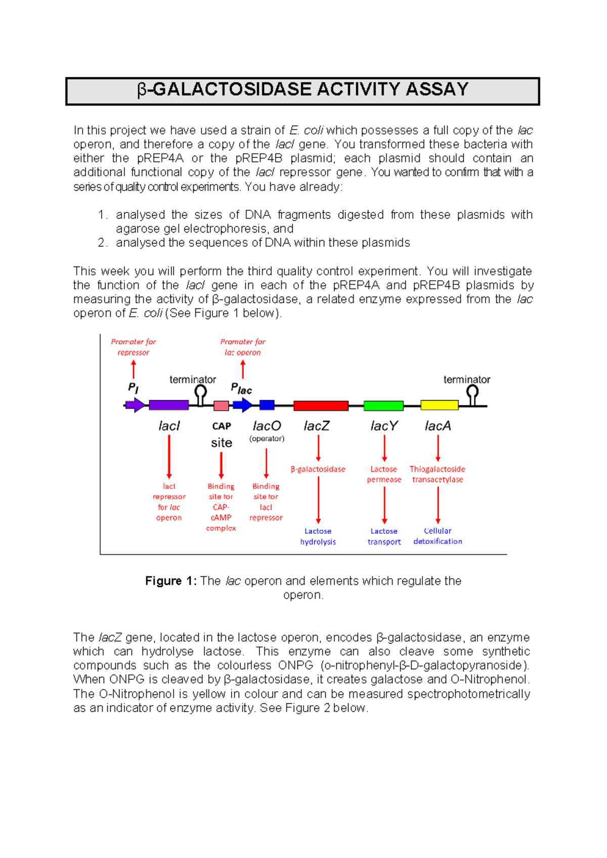 B-gal Methods and theory exercises - In this project we have used a ...