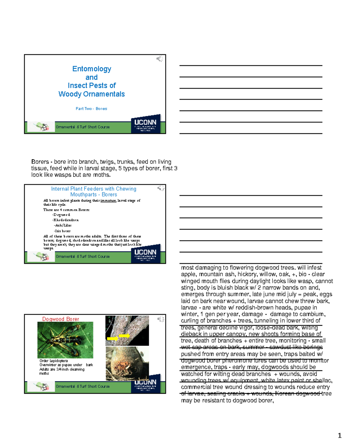 Part 2.2 - Entomology - Borers - 1 Ornamental & Turf Short Course ...