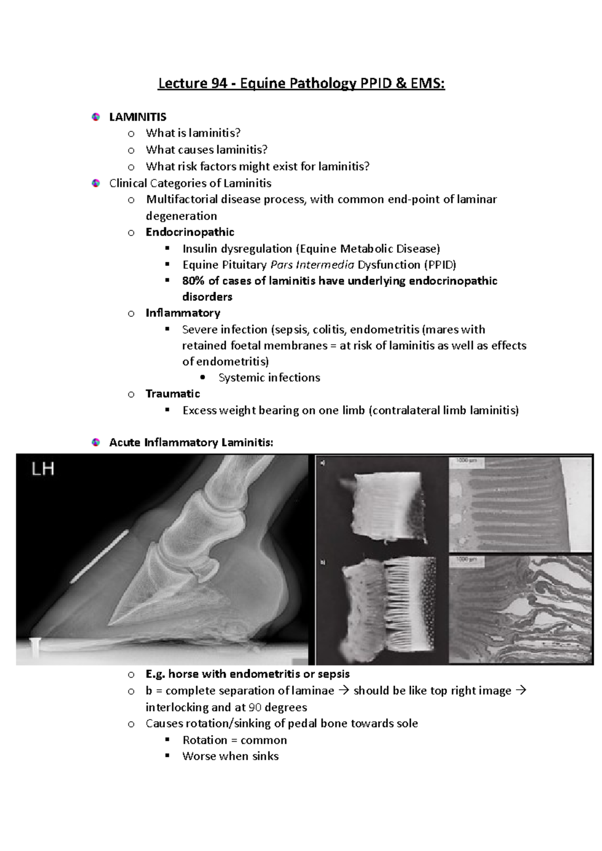 Lecture 94 - Equine Pathology PPID & EMS - horse with endometritis or ...