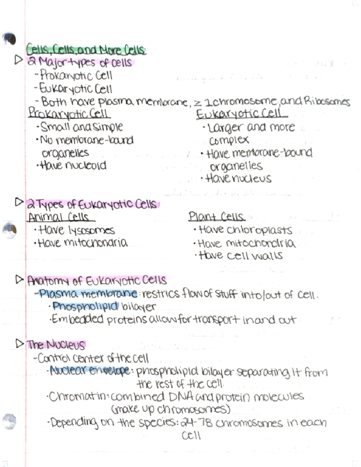 Fs-20221102224015-288 - BIOL 10000 - PFW - Studocu