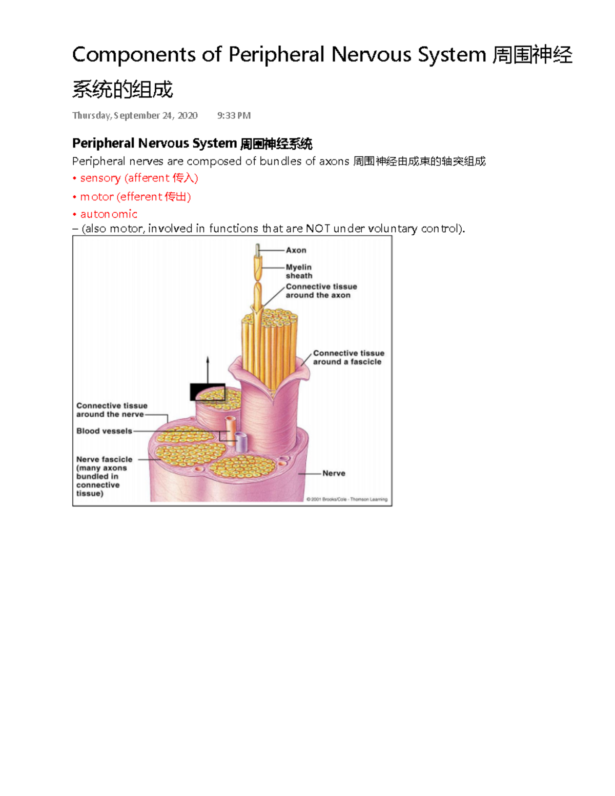 Components of Peripheral Nervous System - CAPS 301 - UBC - Studocu