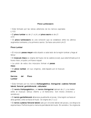 Corpúsculos de Meissner - Corpúsculos de Meissner Corpúsculos de Pacini ...