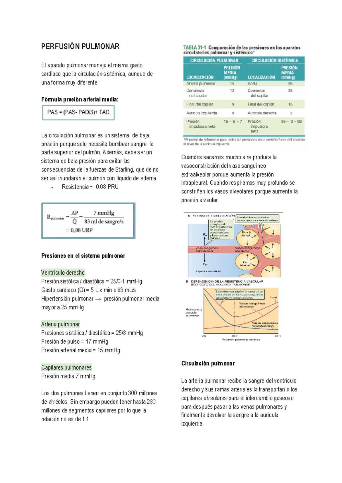 Perfusión Pulmonar - Medical Physiology - PERFUSIÓN PULMONAR El aparato ...