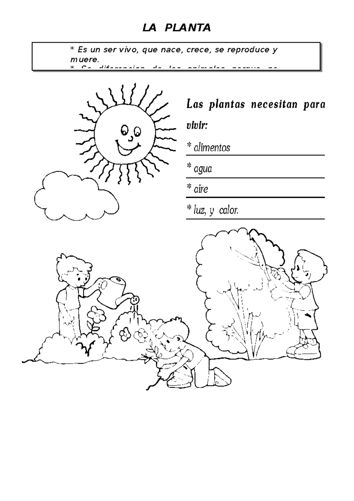 La-planta 1 - ficha - LA PLANTA Es un ser vivo, que nace, crece, se ...