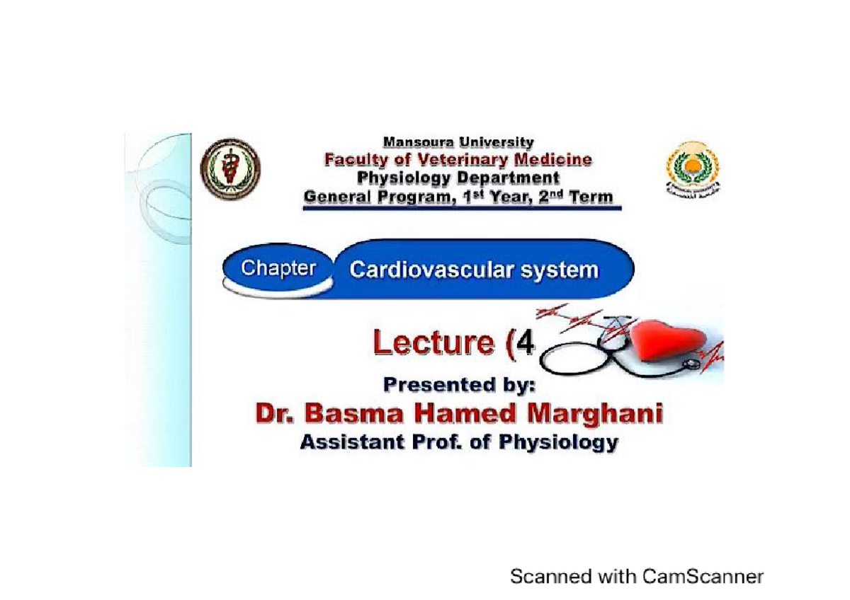 Lec 4 “circulation - Physiology - Studocu