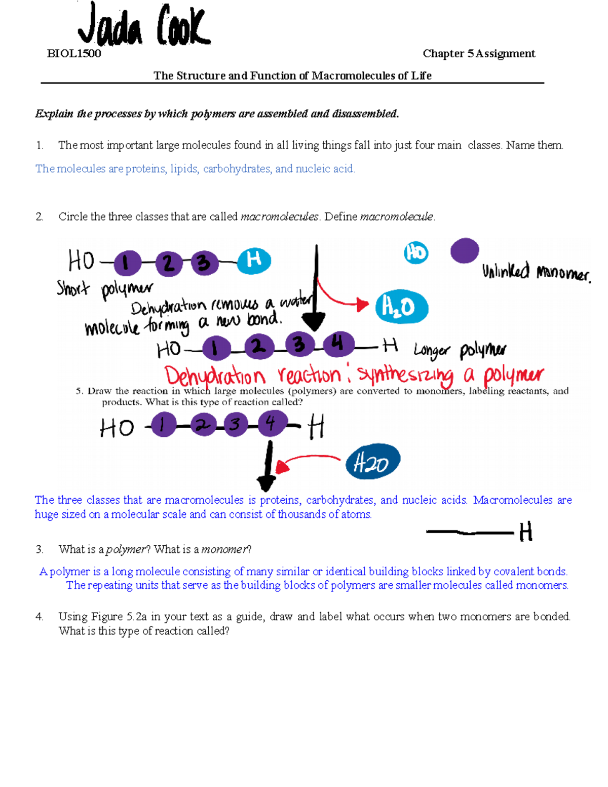 Assig 3 chp 5 Complete - hw - BIOL1500 Chapter 5 Assignment The ...