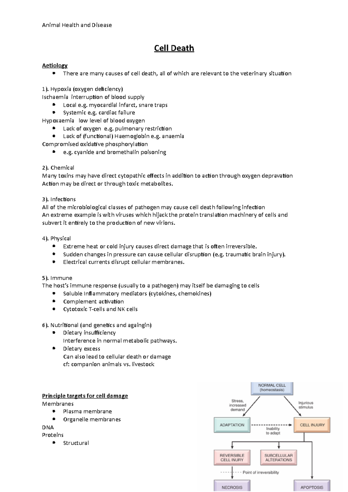 Cell Death - notes - Cell Death Aetiology There are many causes of cell ...