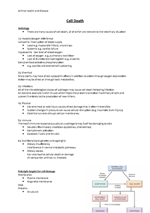 Genetic disorders - notes - Genetic Disorders in Animals Selective ...