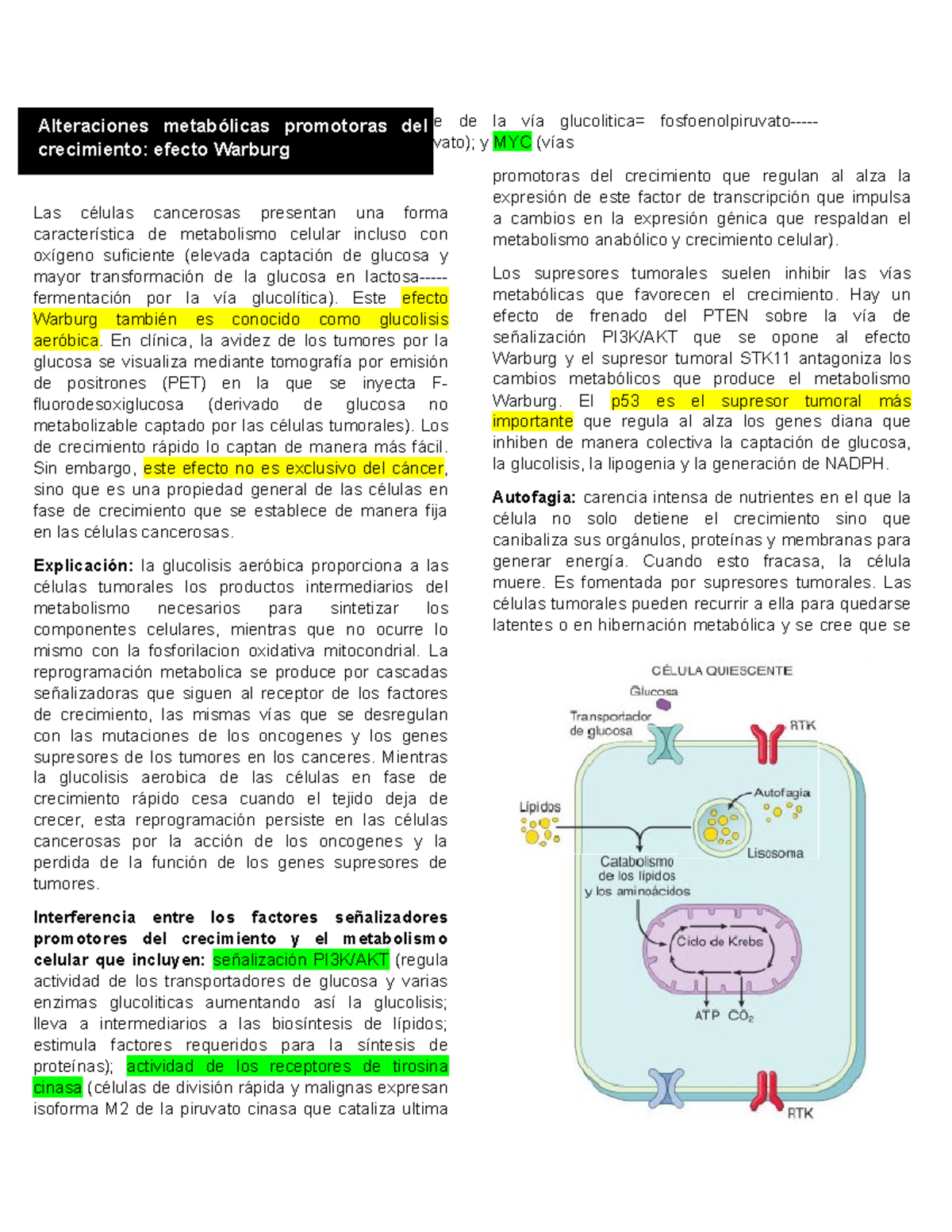 Neoplasias Robbins - Las células cancerosas presentan una forma ...