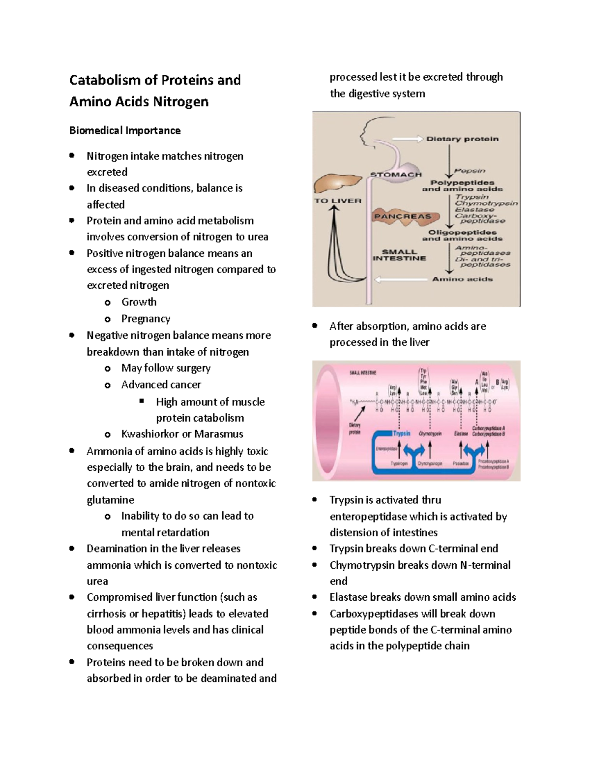 Nitrogen Catabolism OF Proteins AND Amino Acids AND Conversion OF Amino ...