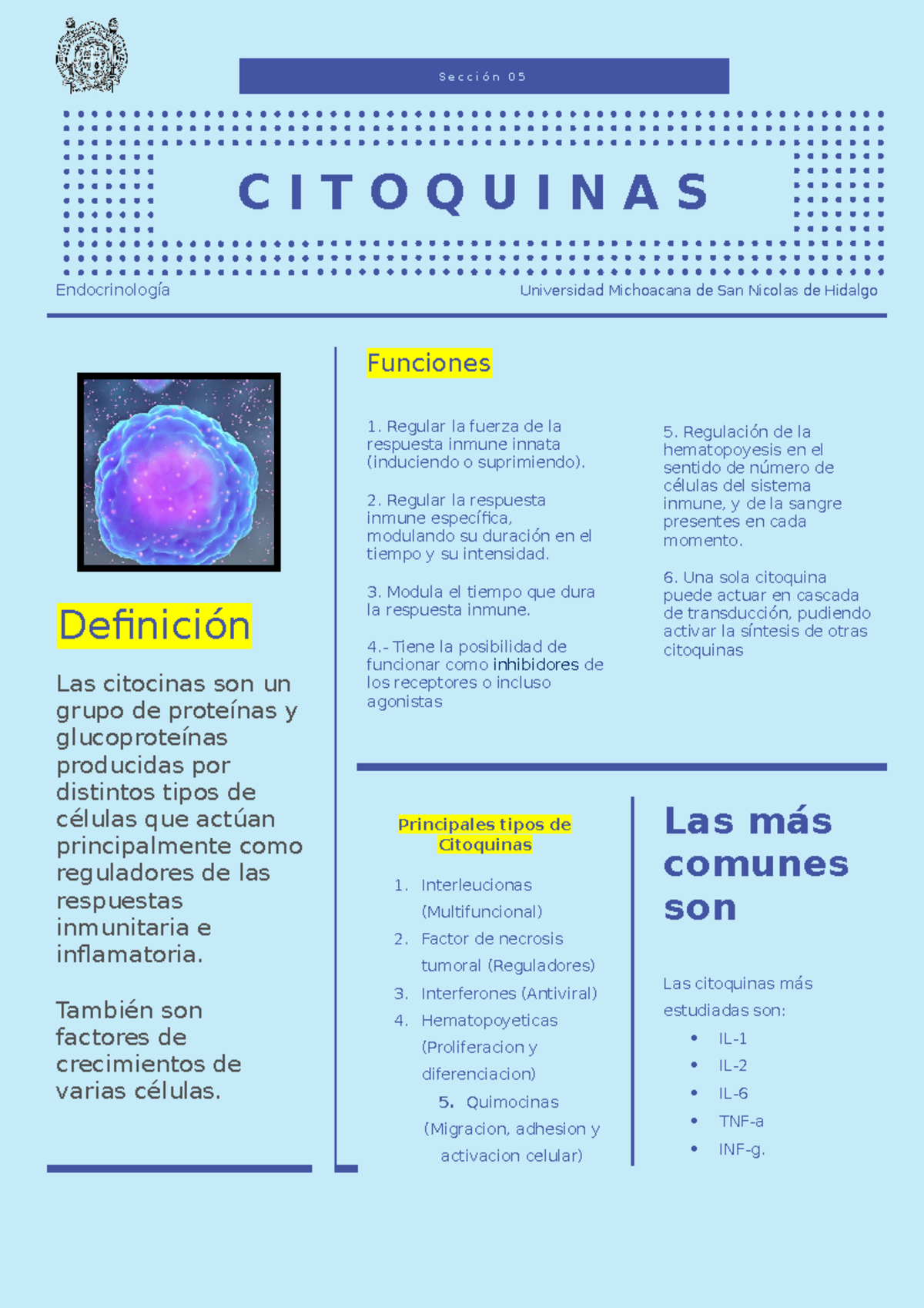 Citoquinas - 05 - S e c c i ó n 0 5 C I T O Q U I N A S Endocrinología ...