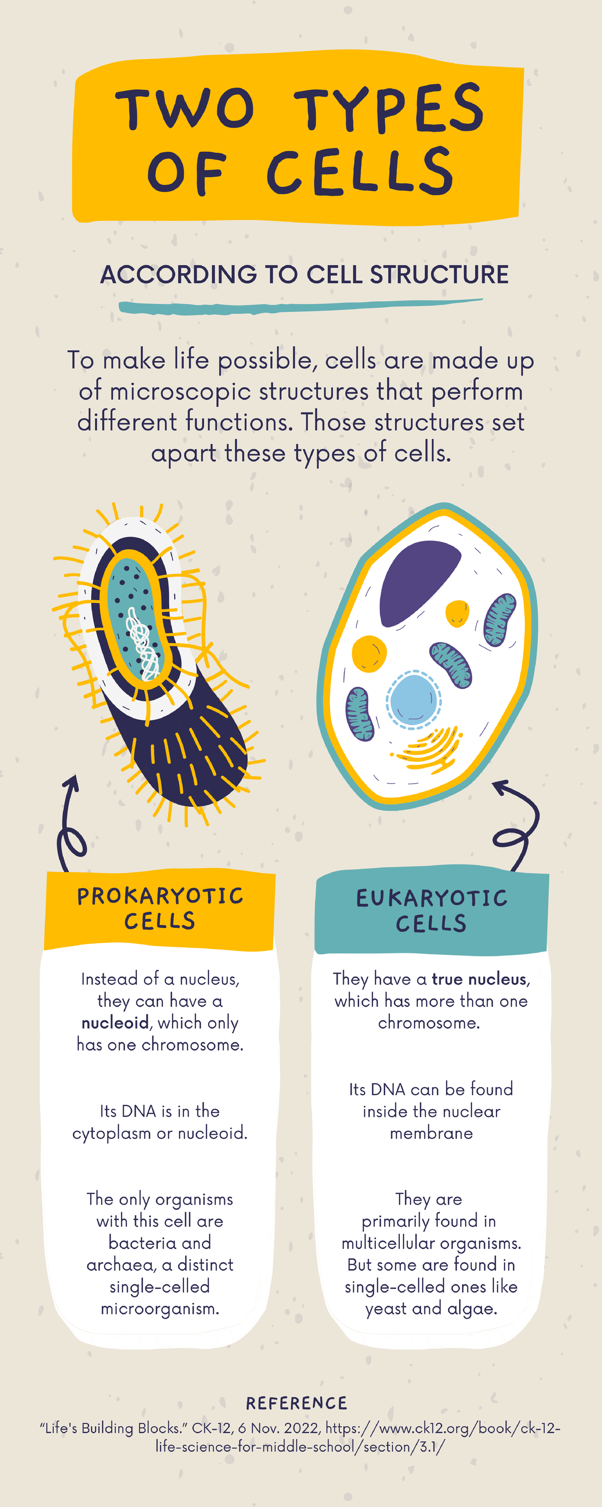 Two Type Cell Comparison - AS.020.151. - Studocu
