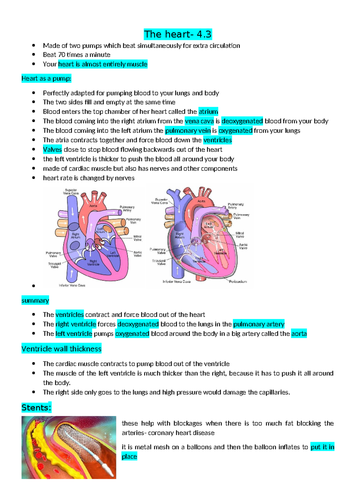 The heart - Made of two pumps which beat simultaneously for extra ...