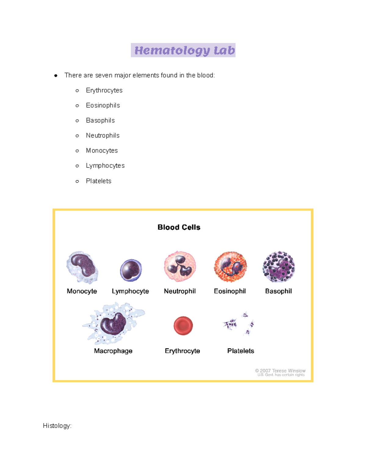 Hematology Lab Notes - Hematology Lab There are seven major elements ...