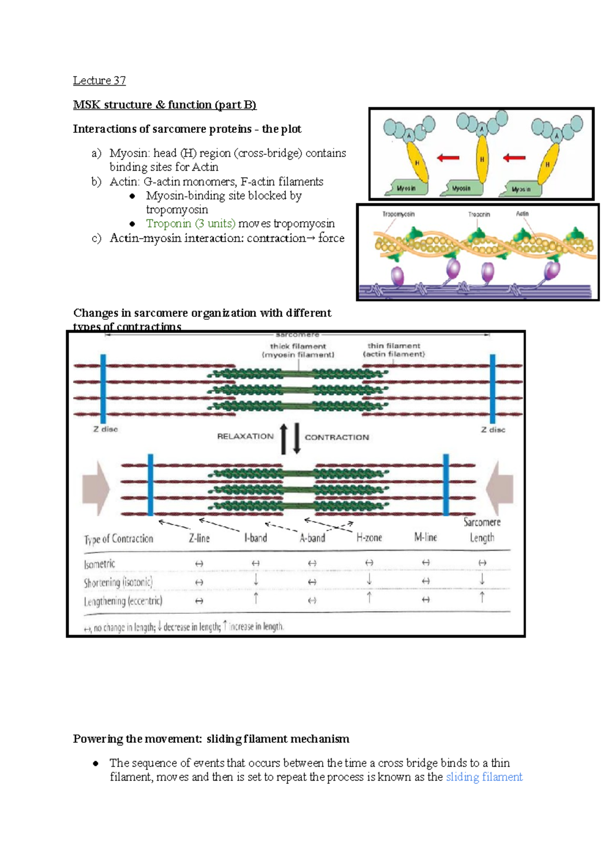 MSK structure function (part B) - Lecture 37 MSK structure & function (part B) Interactions of ...