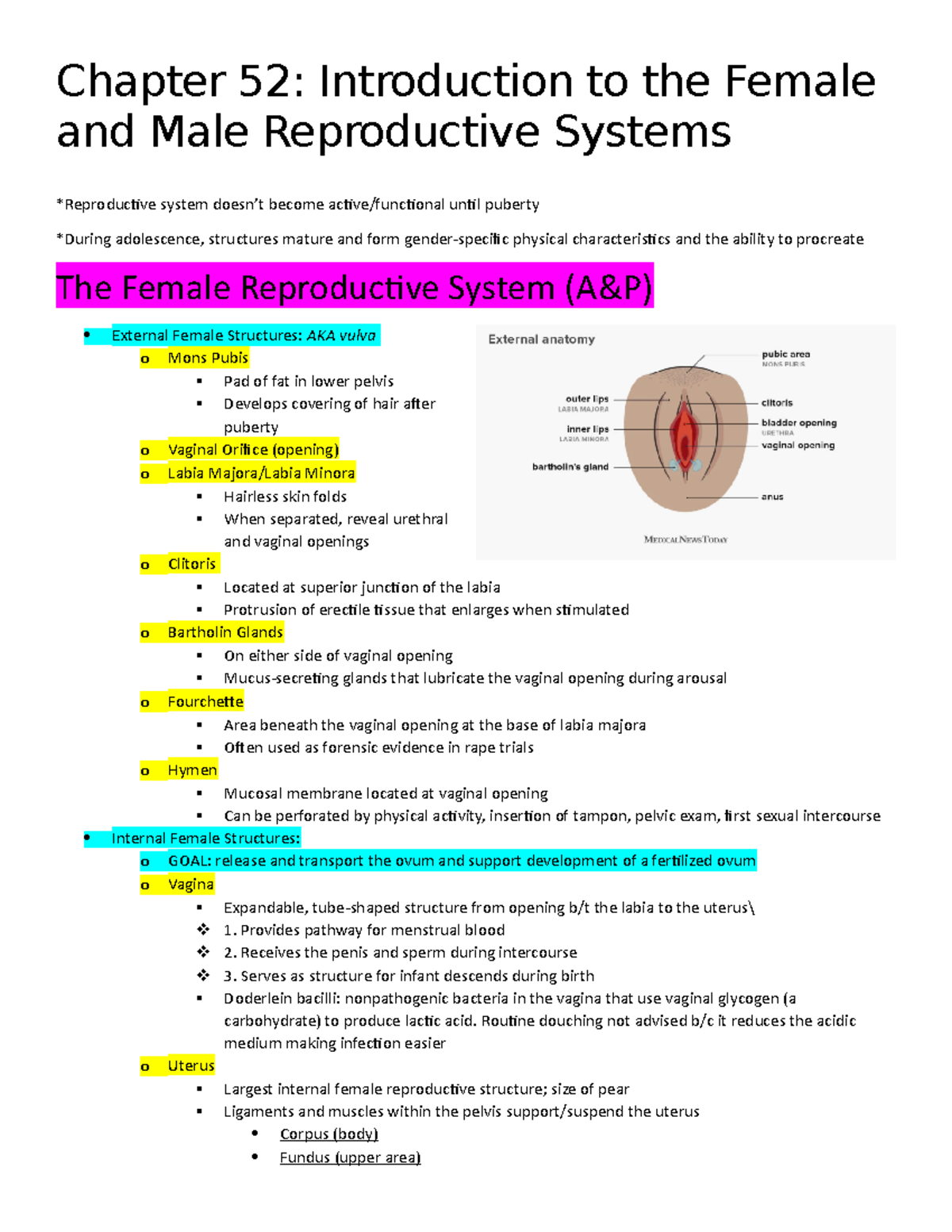 Ch 52 Intro to Repro - Chapter 52: Introduction to the Female and Male ...