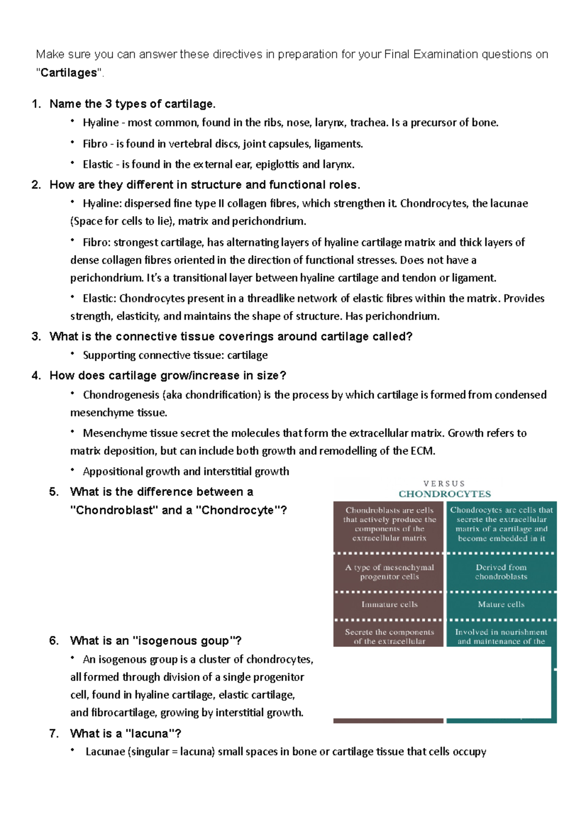 Exam Review Notes - Make sure you can answer these directives in ...