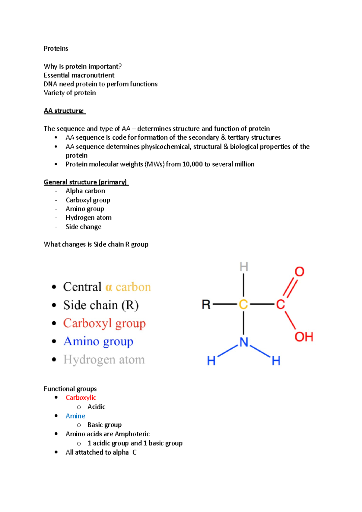 Proteins notes - protein structure - Proteins Why is protein important ...