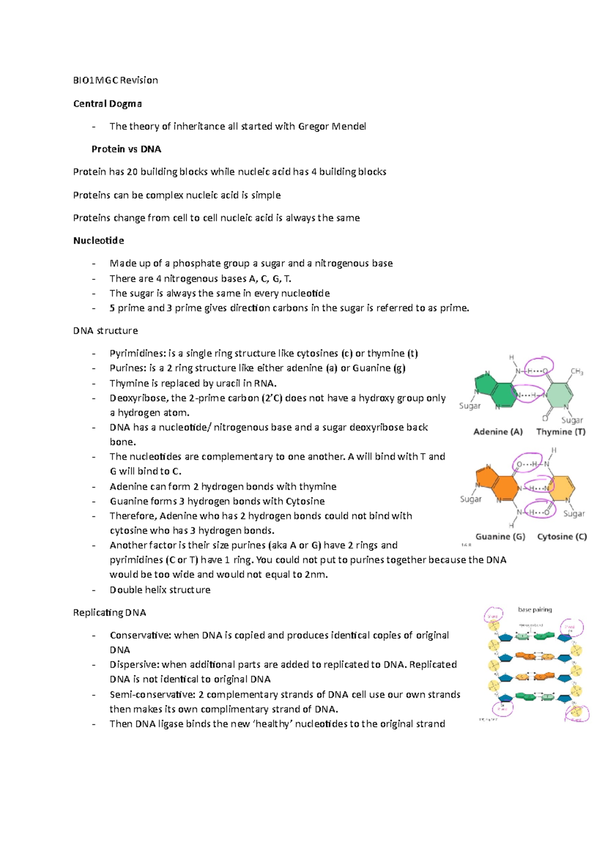 BIO1MGC Revision - summaries whole course info - BIO1MGC Revision ...