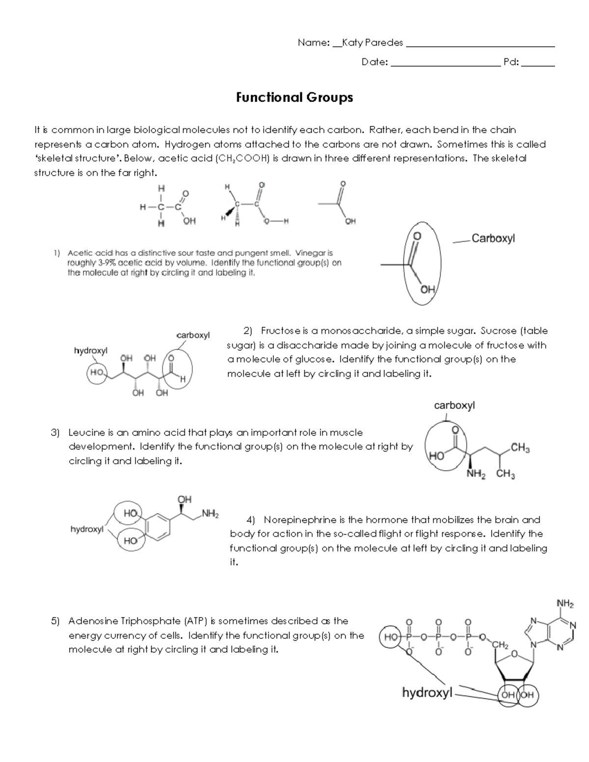 Copy of Functional Groups Worksheet - Name: __Katy Paredes
