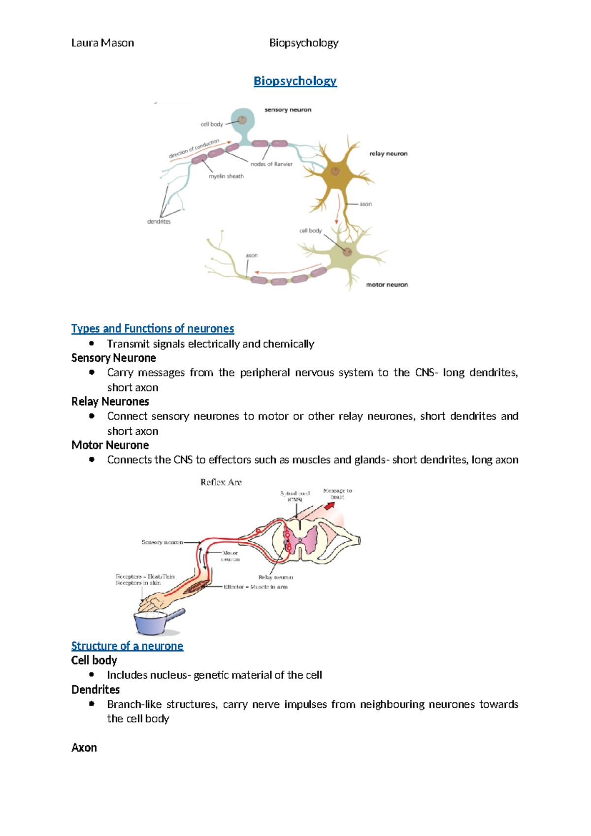 Biopsychology - biopsych - Biopsychology Types and Functions of ...
