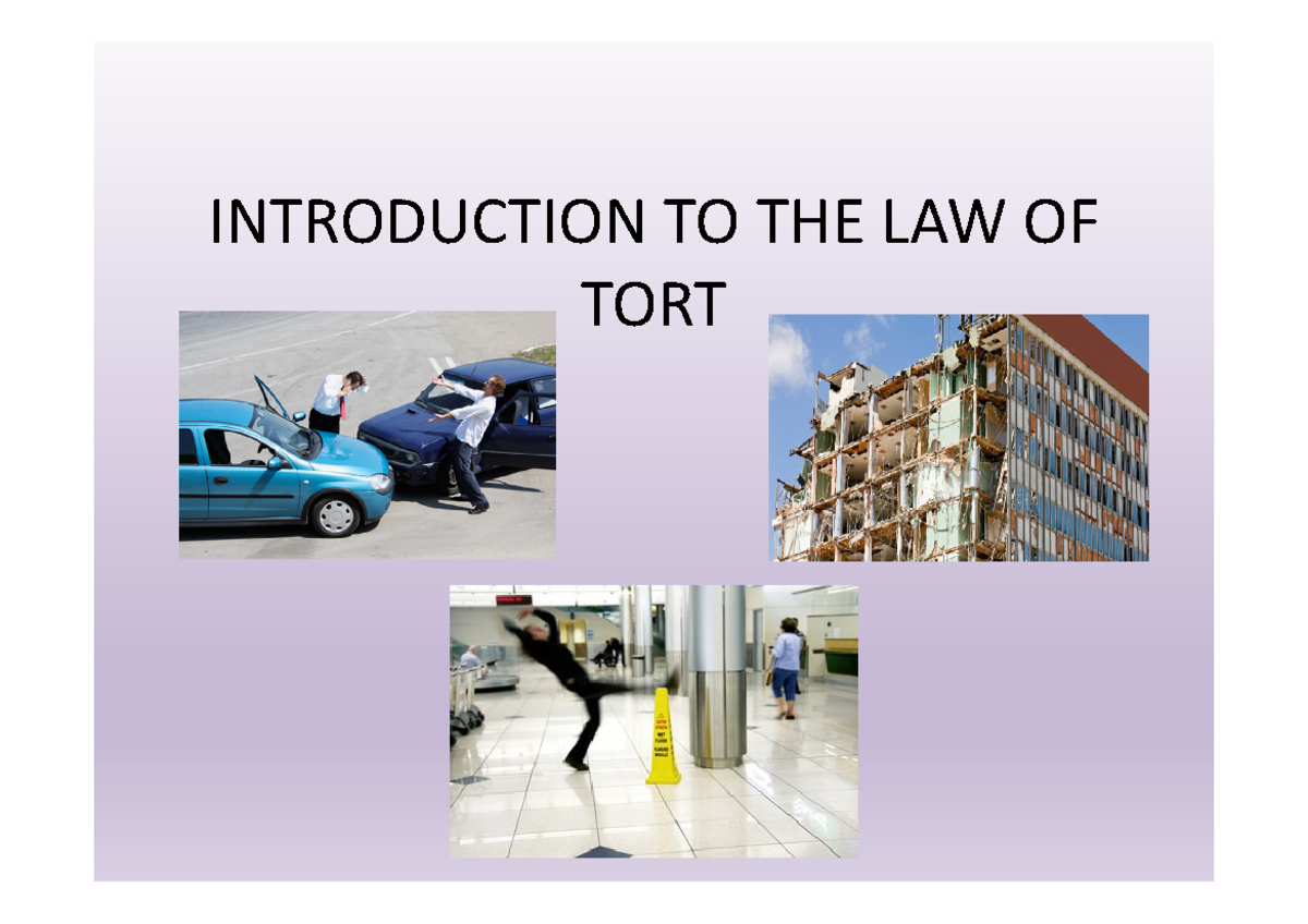 Introduction to the Law of Tort.pptx [Read-Only] - INTRODUCTION TO THE ...