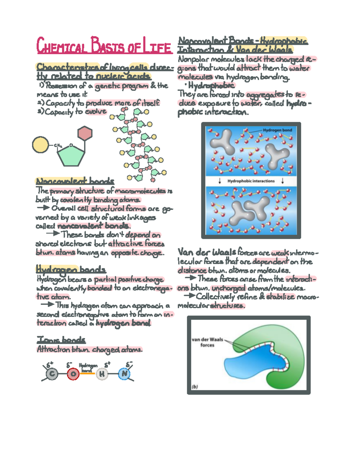 Week 2 - Chemical Basis of Life - CHEMICALBASISOFLIFE ...