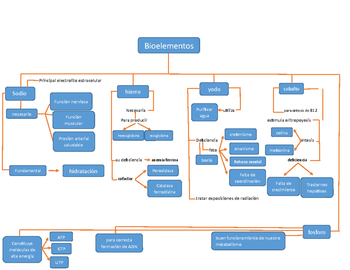 Biologia celular - Apuntes bioelementos - Bioelementos Principal ...