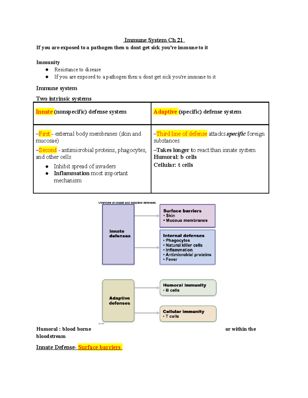 Bio 347 Exam 2 Study Guide - Immune System Ch 21 If you are exposed to ...