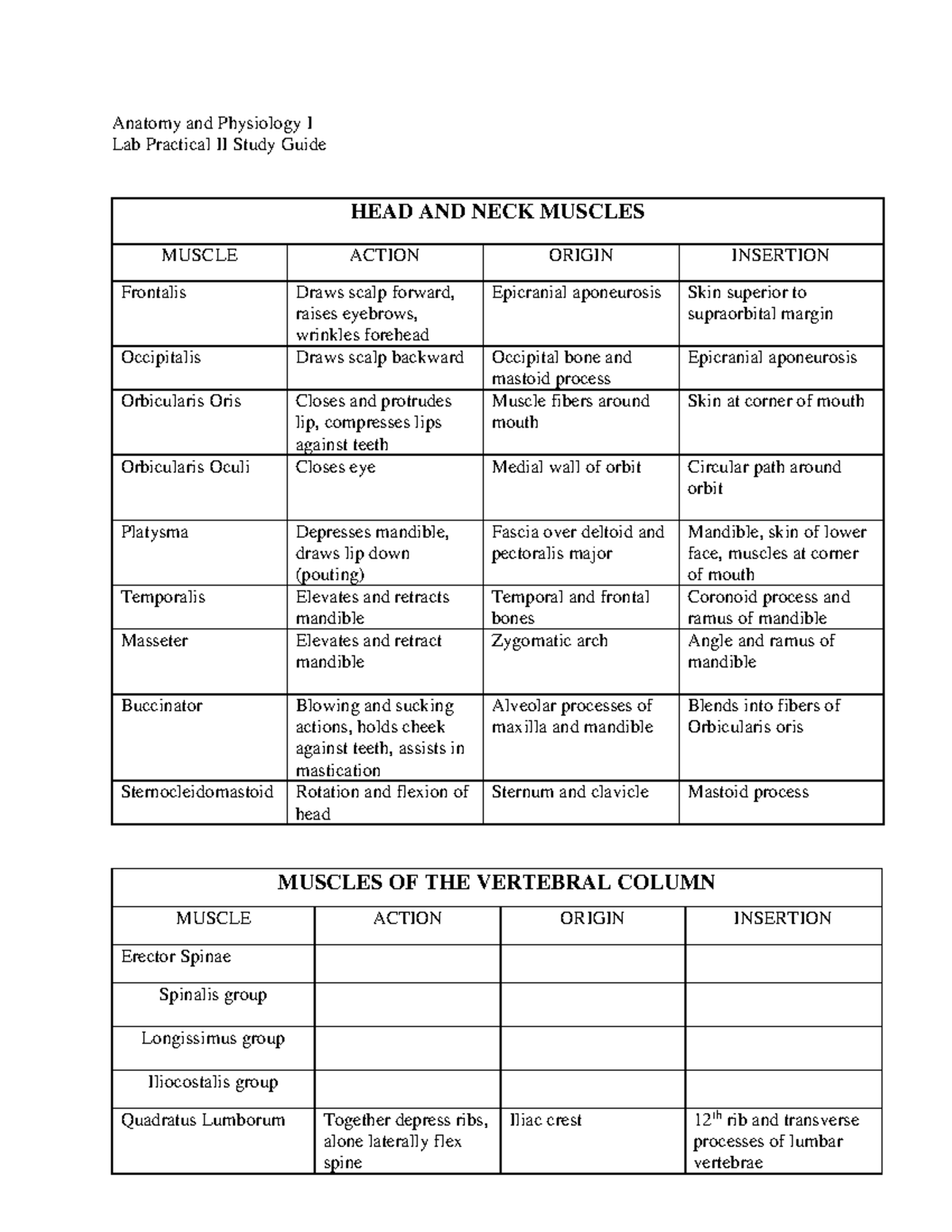008517021 - muscles - Anatomy and Physiology I Lab Practical II Study ...