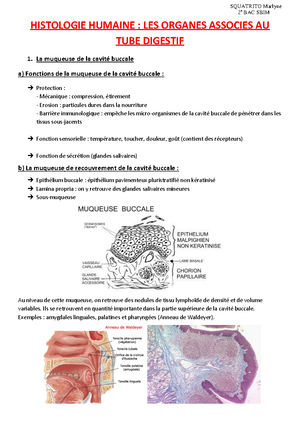 Synthese Finale Systeme Lymphoide pdf - Warning: TT: undefined function: 32 Warning: TT ...