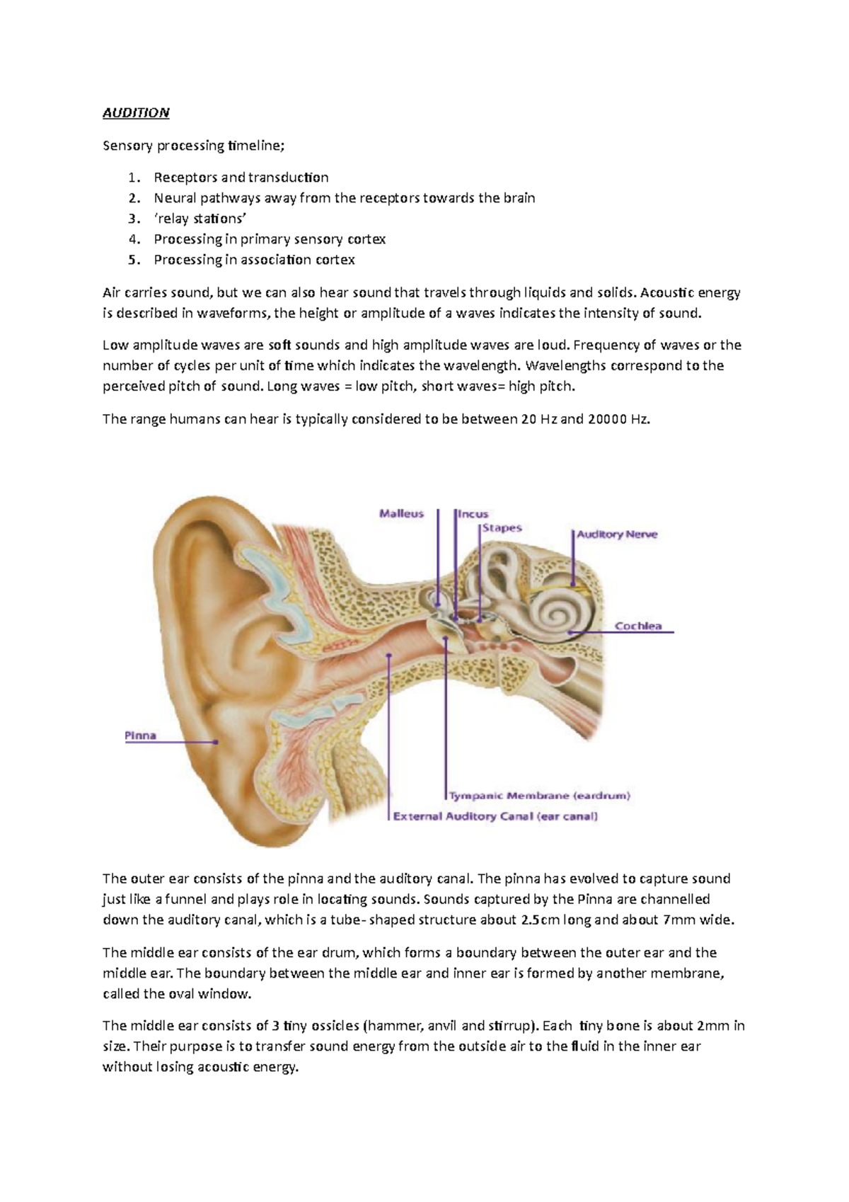 Audition - Lecturer Derek Larkin - PSY2115 - EdgeHill - Studocu