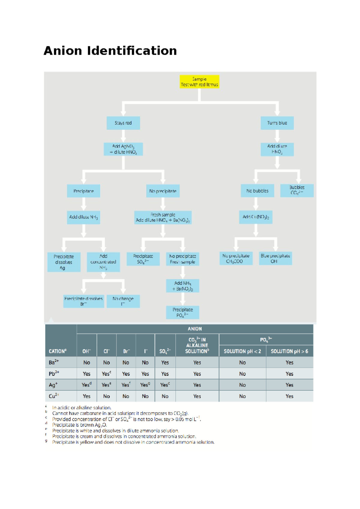 8-1 Anion Identification - Anion Identification Sample Test with red ...