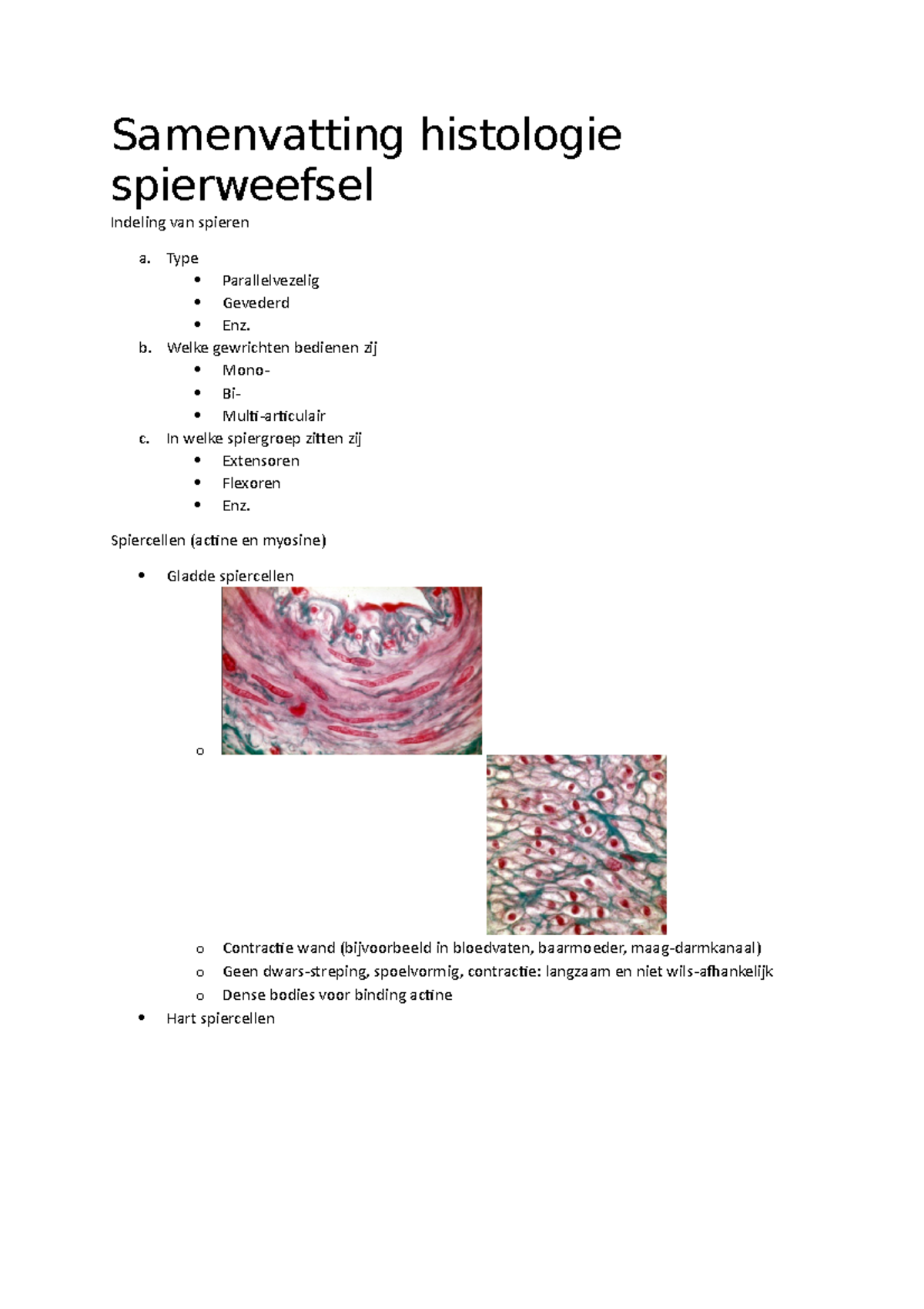 Samenvatting histologie spierweefsel - Samenvatting histologie ...