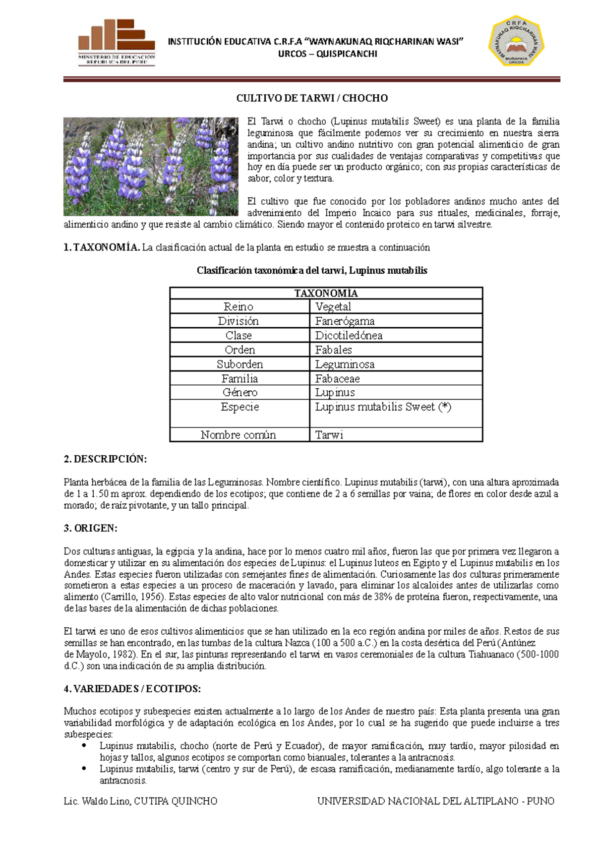 Ficha DE Trabajo Sobre EL Tarwi- WRW - URCOS – QUISPICANCHI CULTIVO DE ...