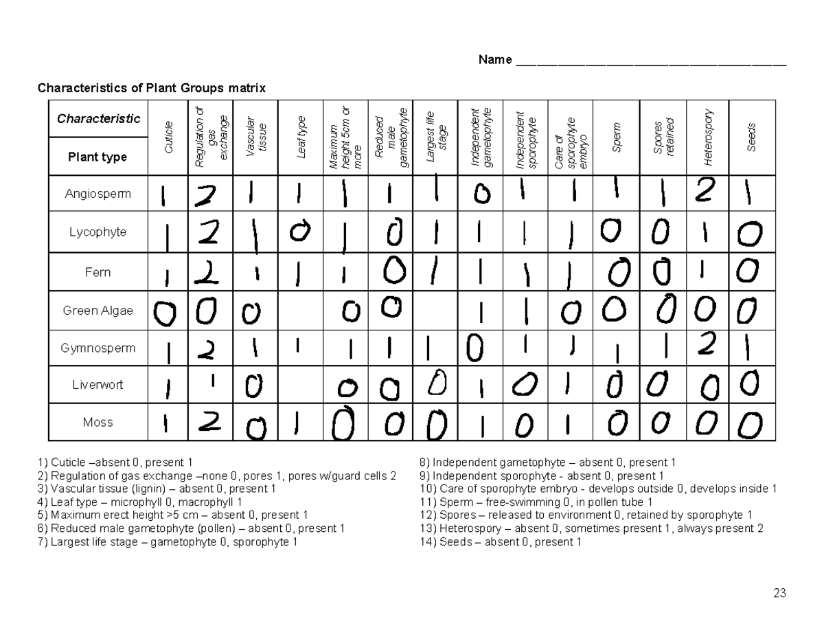 LAB 5 - Lab - 23 Name ...
