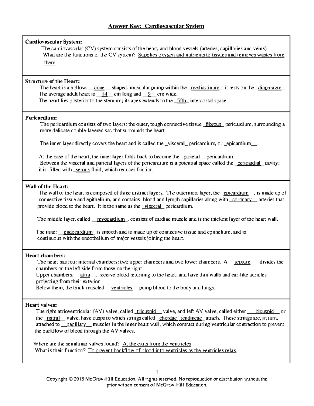 Answerkey Studyoutline Cardiovascular System - Copyright © 2015 McGraw ...