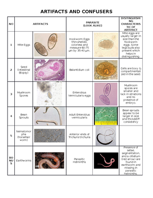 Trematodes Appearnce - TREMATODES OVA FASCIOLOPSIS BUSKI/FSACIOLA ...