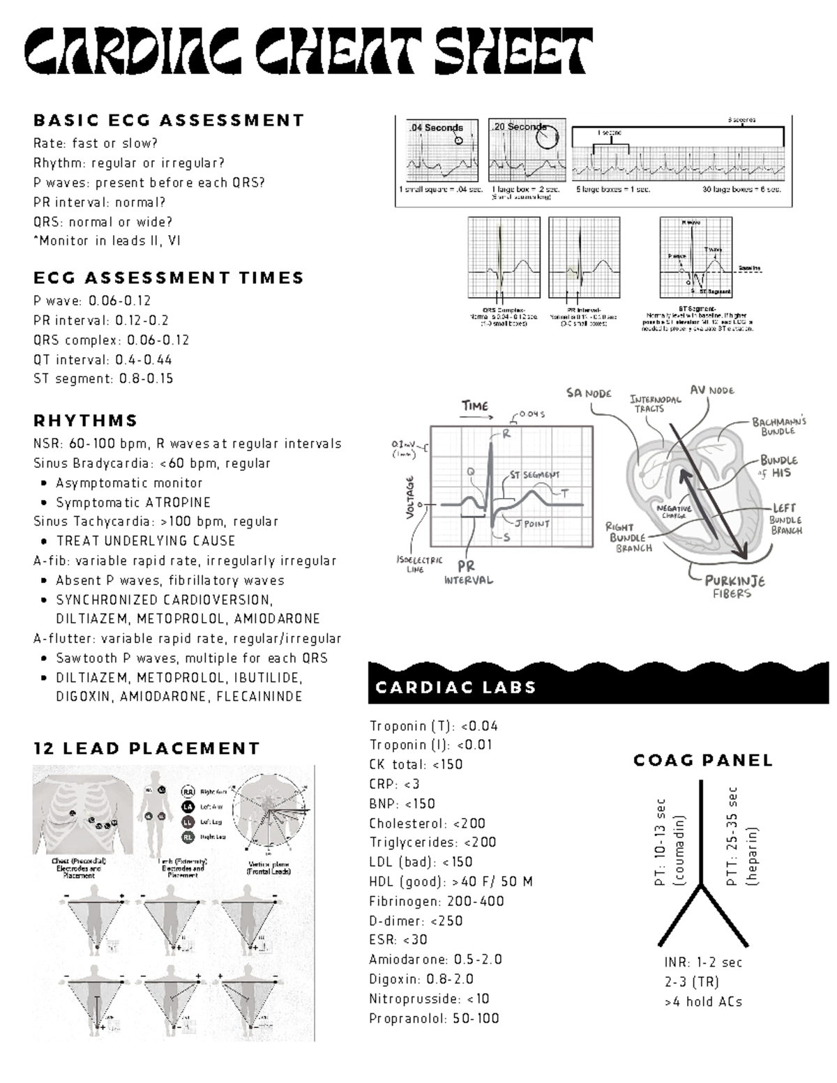 Cardiac Cheat Sheet - Lorem ipsum dolor sit amet, consectetur ...