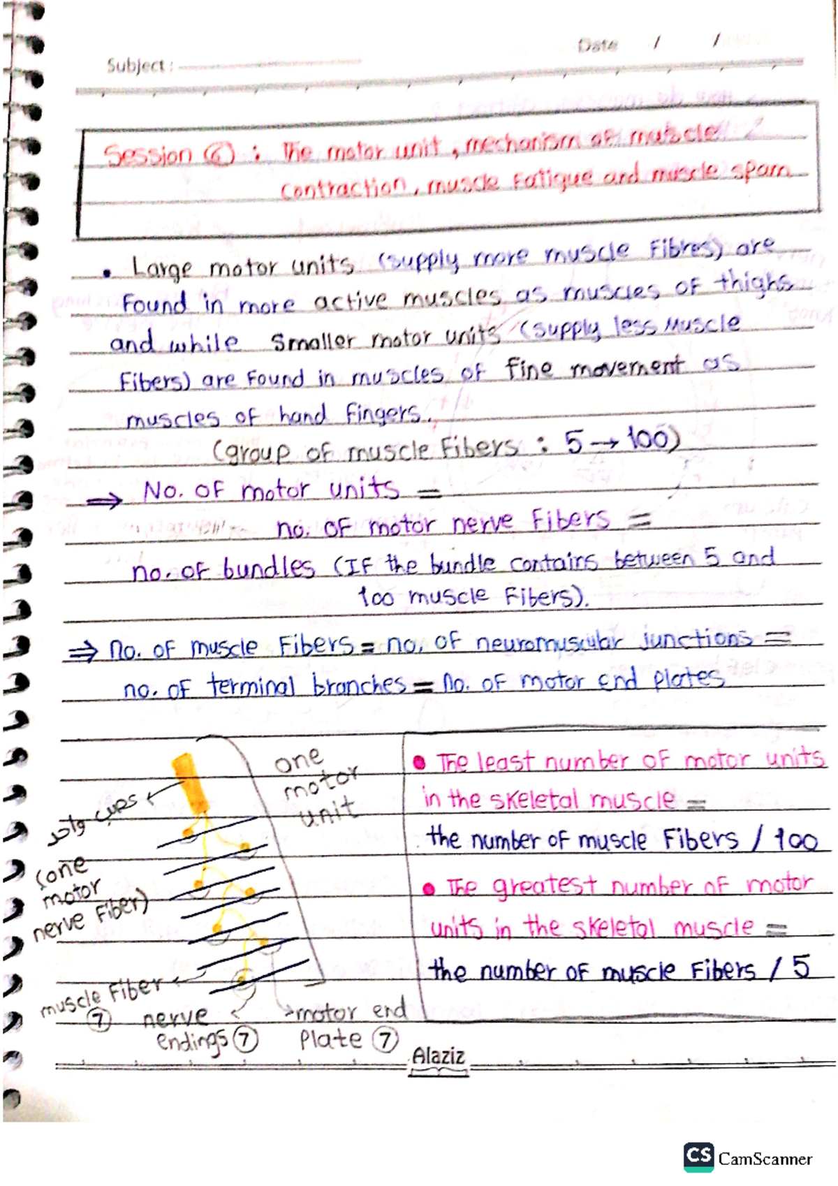 Lec 8 - lllllll - Biology 2 (Zoology) - Studocu